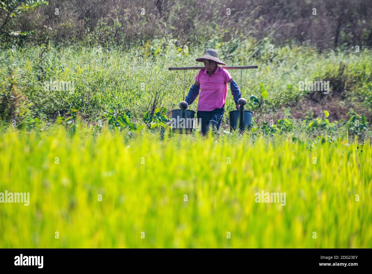 Small scale agriculture in rural China - organic, subsistence farming ...