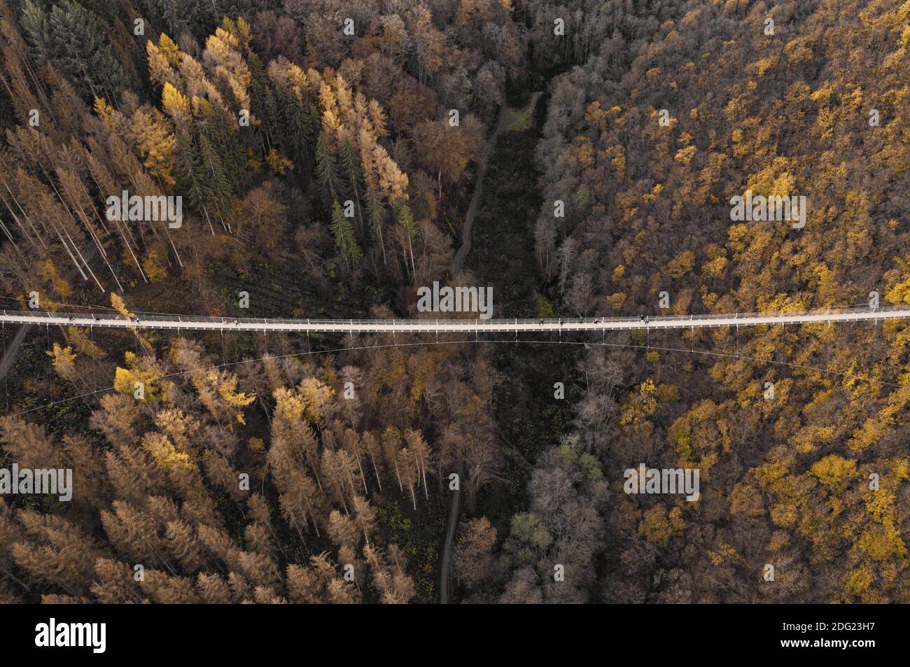 An aerial view of an autumnal densely forested area with a long narrow ...