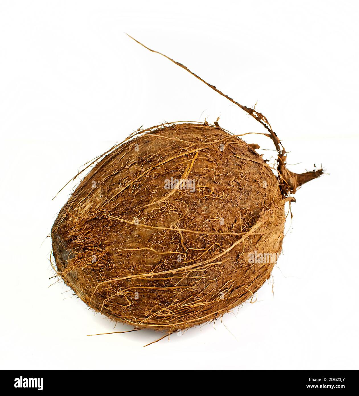 Coconut water drink Cut Out Stock Images & Pictures - Alamy