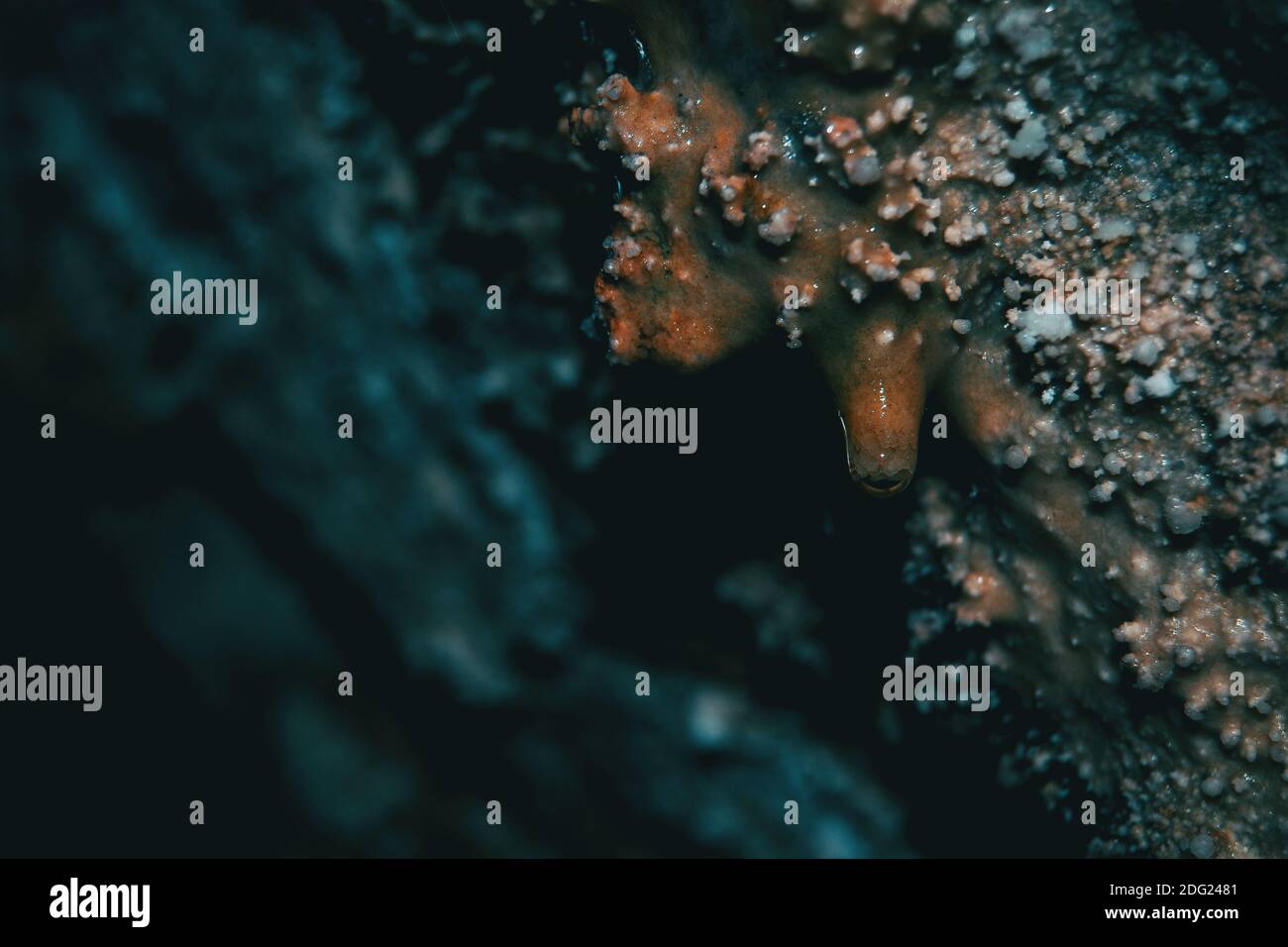 abstract texture of wet stone from inside a dark cave Stock Photo - Alamy