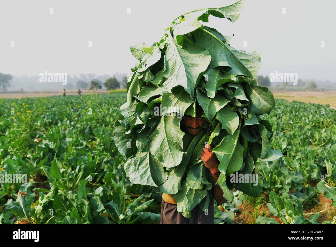Sport pakistani hi-res stock photography and images - Alamy