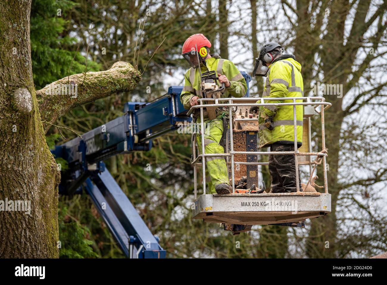 Cherrypicker cherry picker hi-res stock photography and images - Alamy