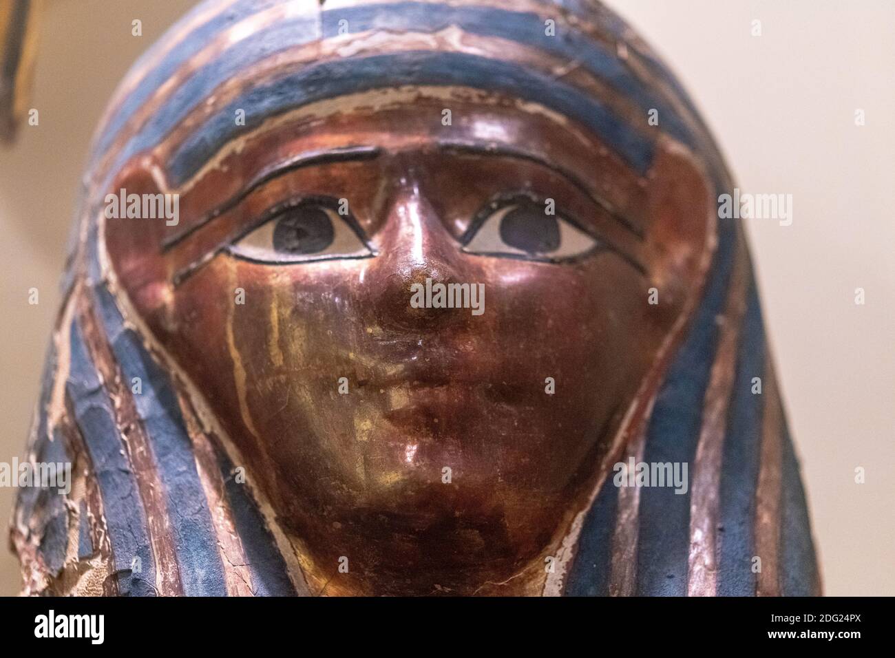 Royal Ontario Museum Mummy