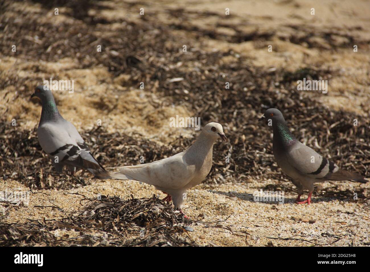 My view of the world and life ! Stock Photo - Alamy