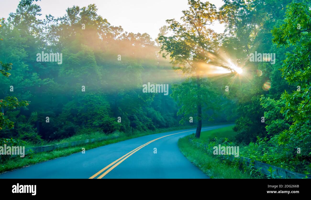 Sun rays through trees on road Stock Photo - Alamy