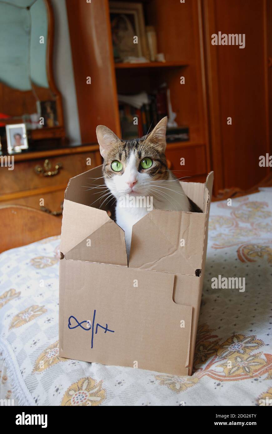 Dentro caja hi-res stock photography and images - Alamy