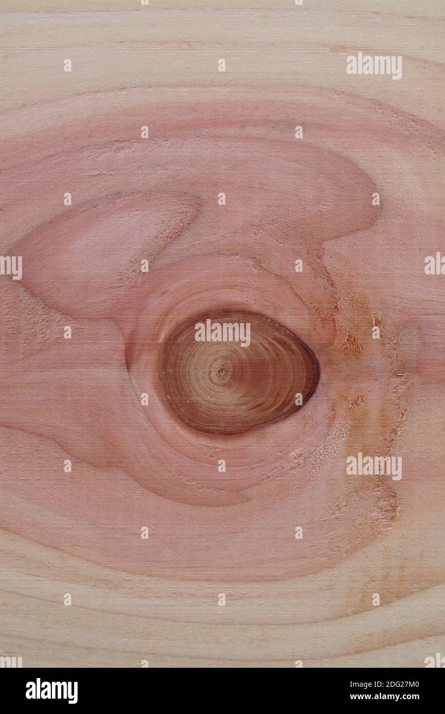 Eye in wood Stock Photo - Alamy