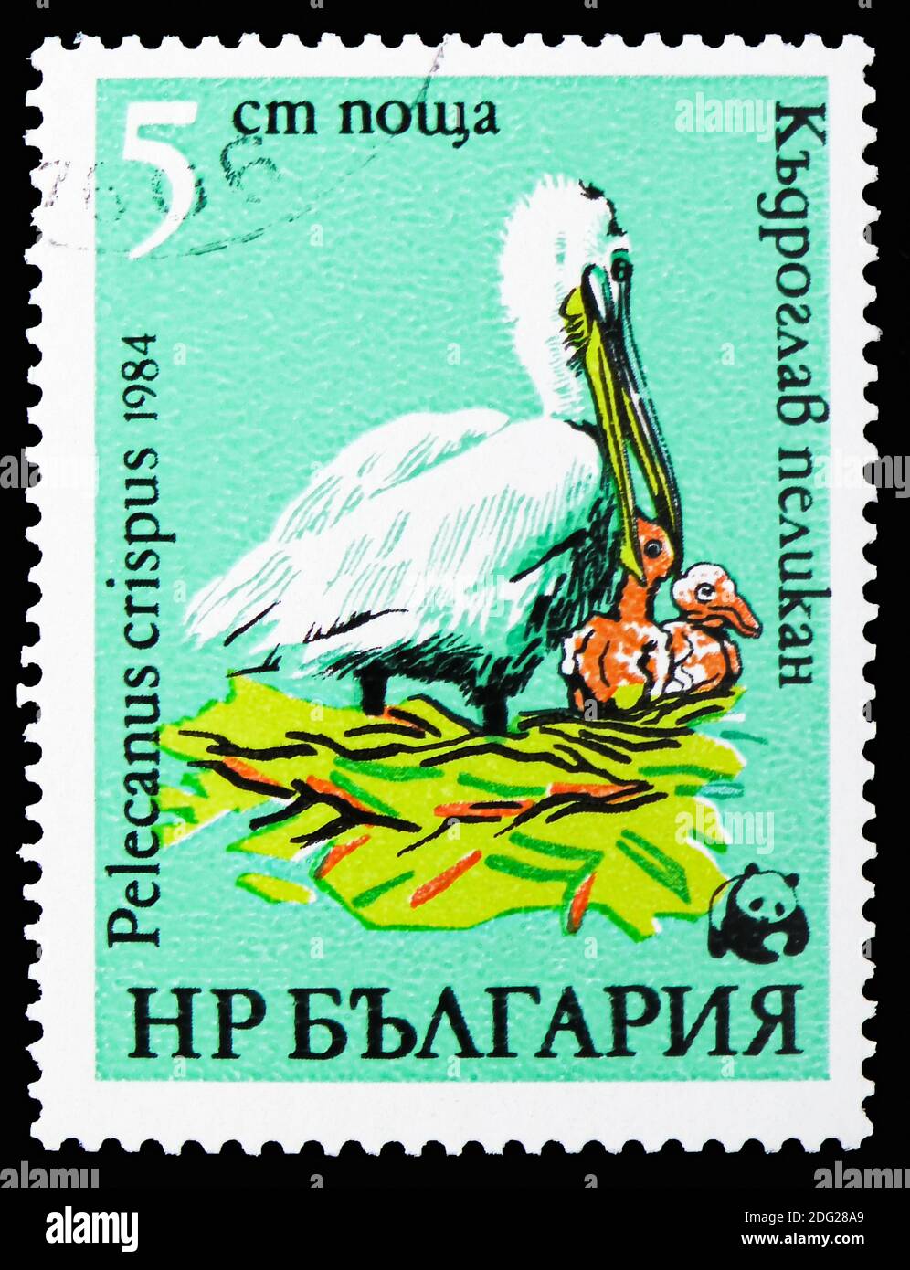 MOSCOW, RUSSIA - OCTOBER 21, 2018: A stamp printed in Bulgaria shows ...