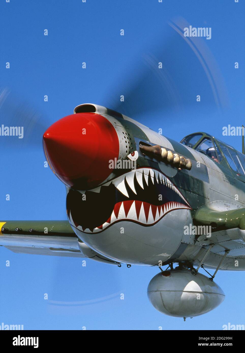WWII Fighter, Curtiss P-40 Warhawk airplane Stock Photo - Alamy
