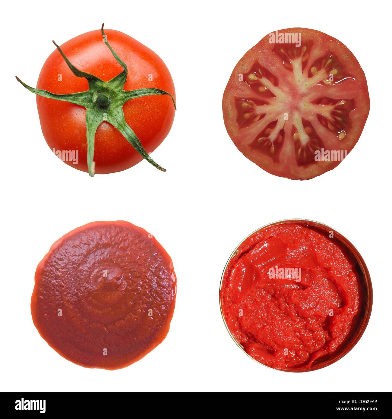 tomato food collage including full fruit, sliced slice, ketchup and ...