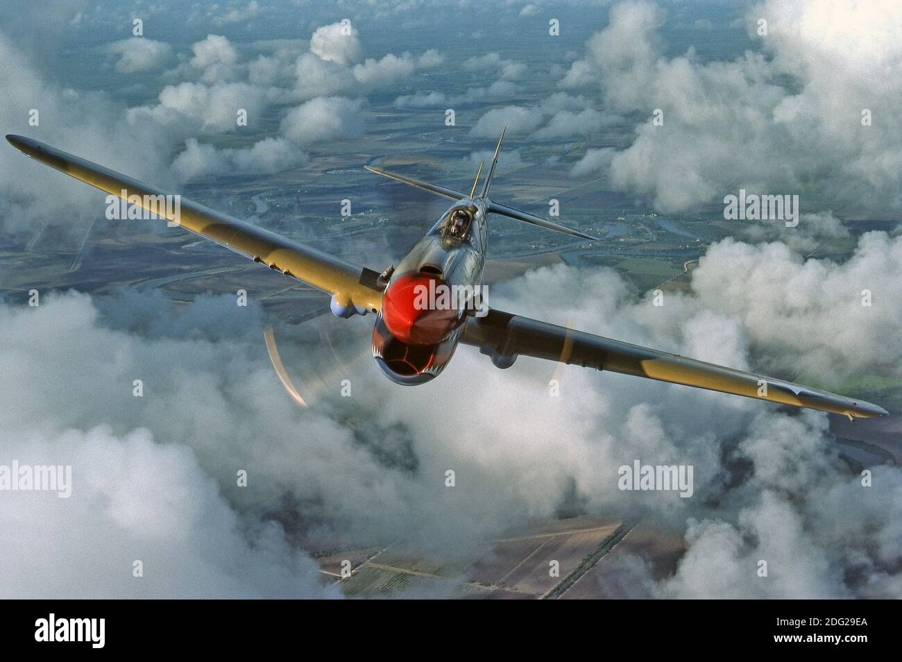 WWII Fighter, Curtiss P-40 Warhawk airplane Stock Photo - Alamy