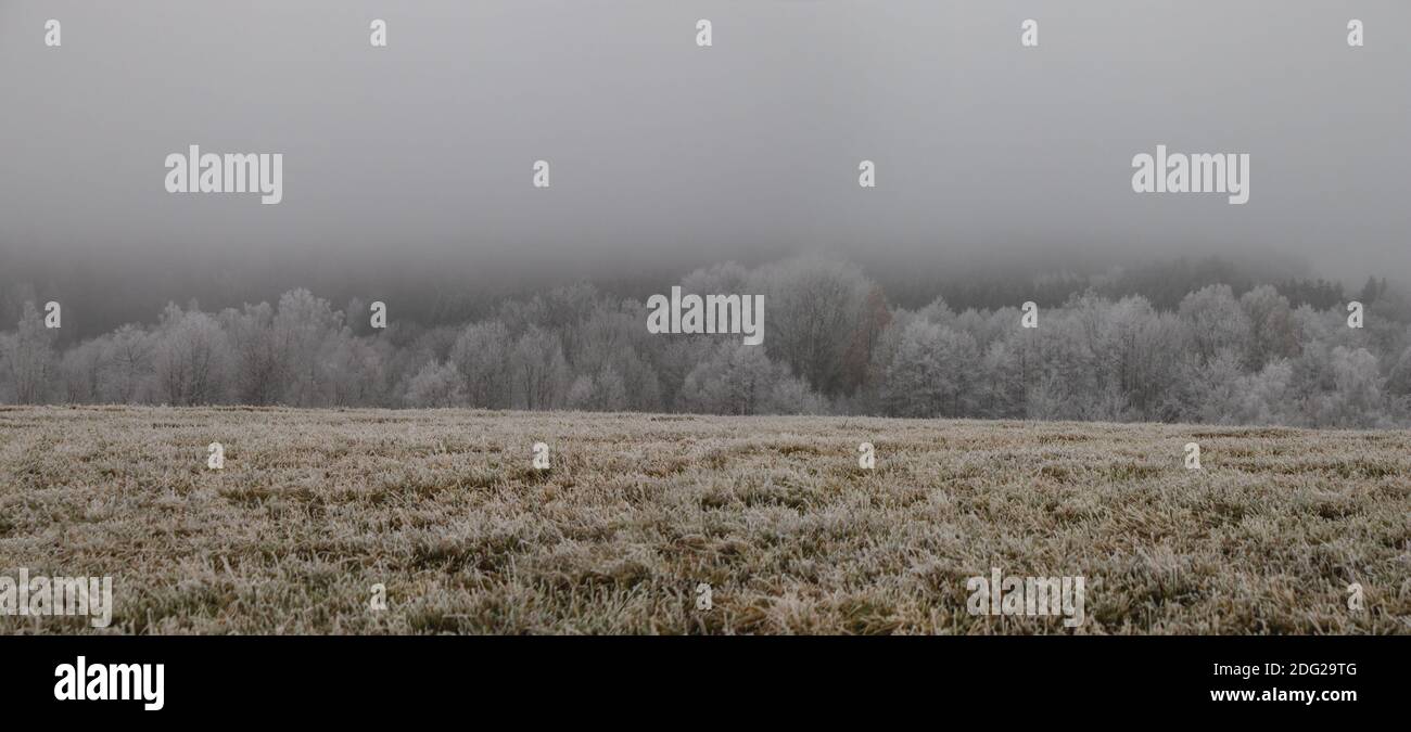 Frozen field of grass hi-res stock photography and images - Alamy