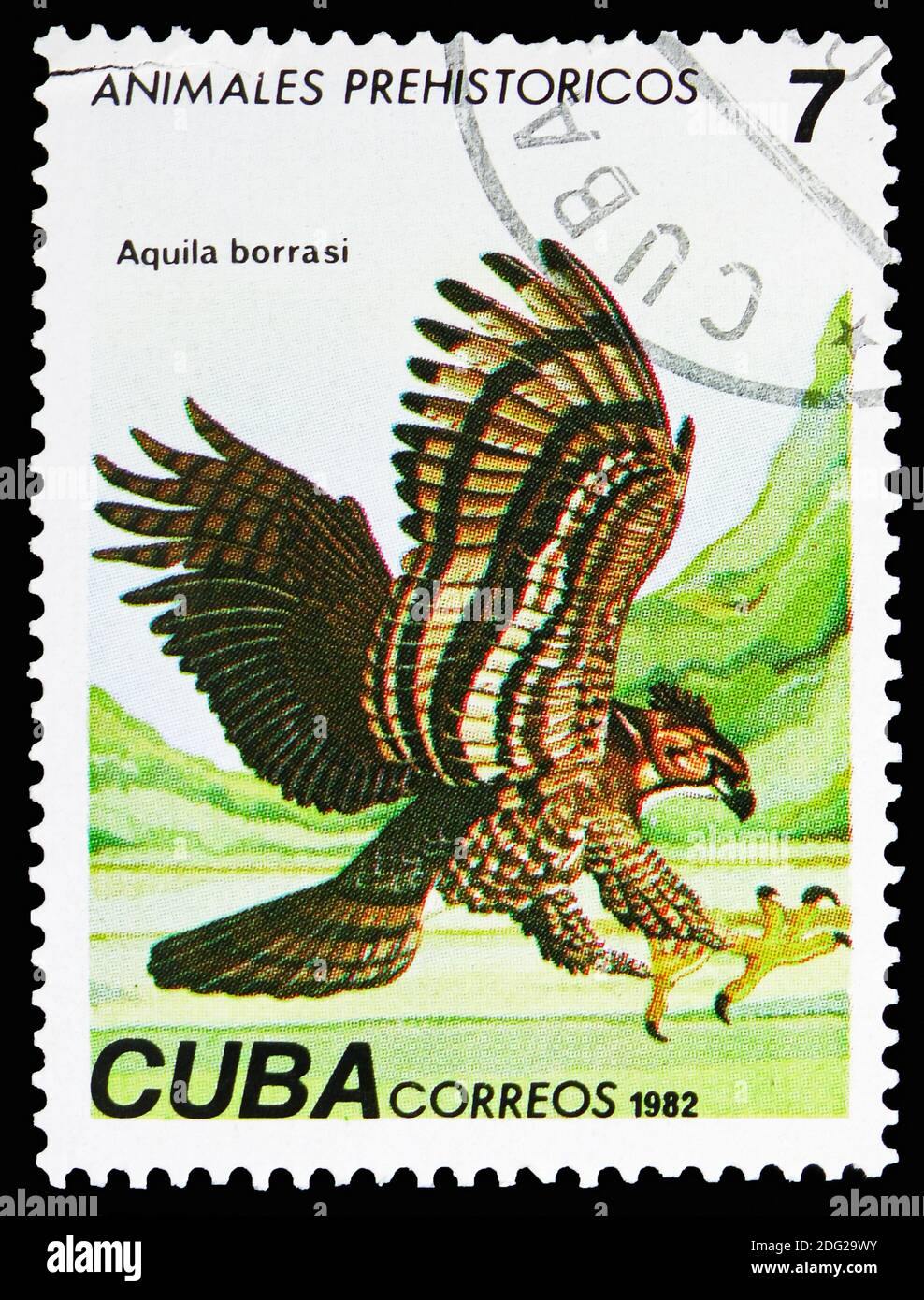 Cuban fossile eagle hi-res stock photography and images - Alamy