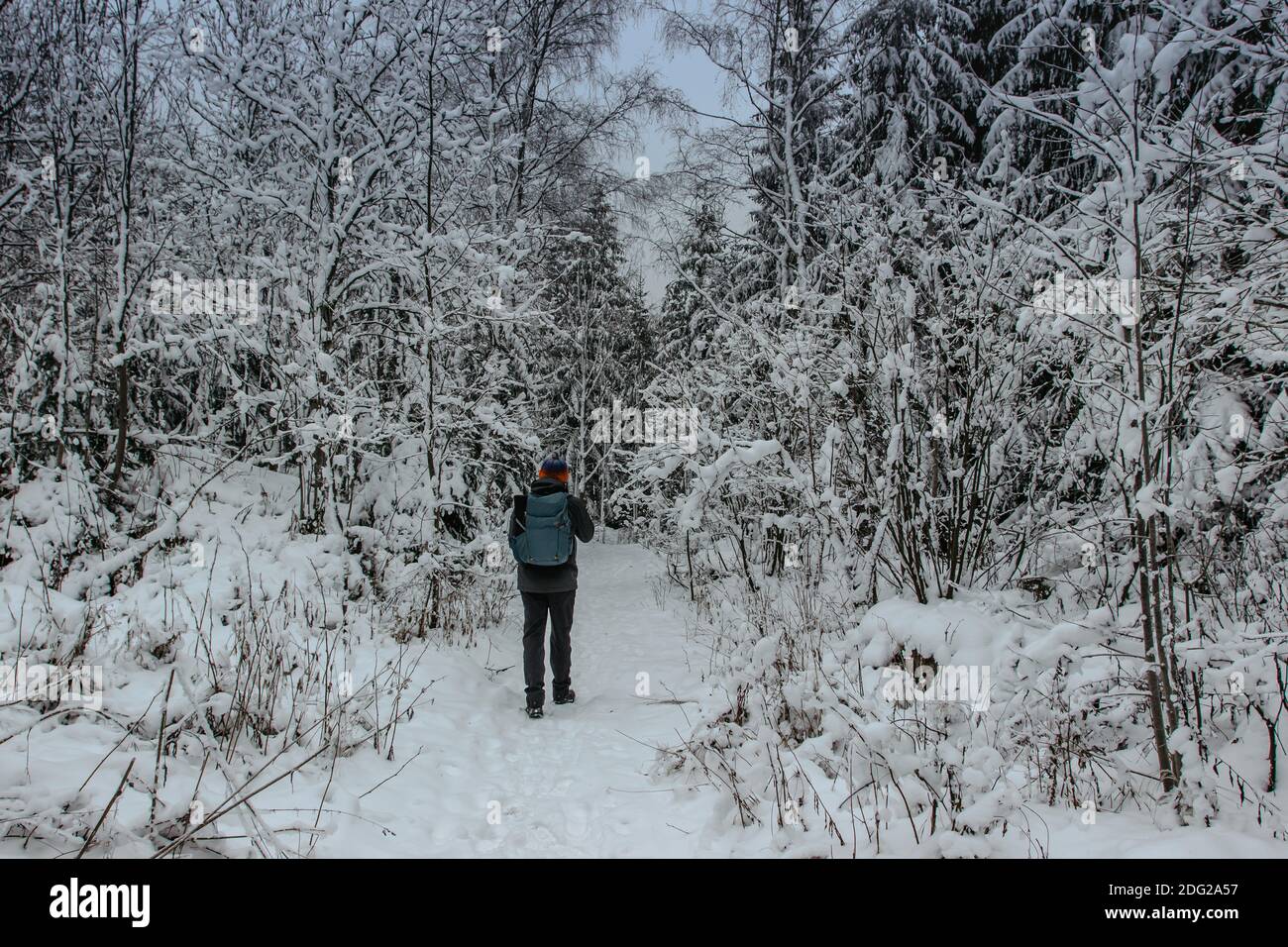 Weather snowy walk hi-res stock photography and images - Alamy