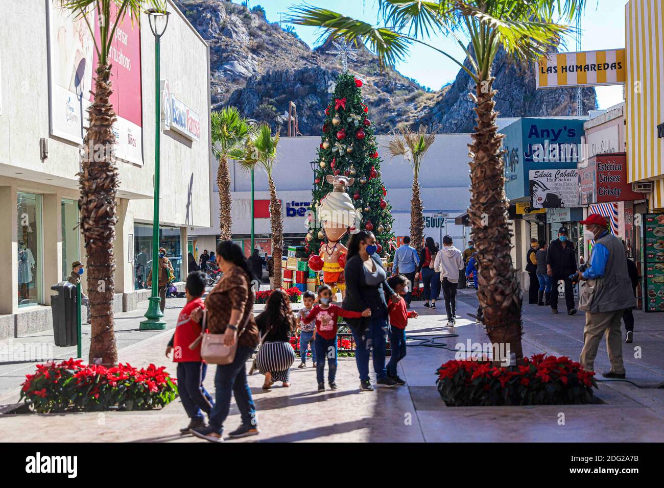 Danza del venado en méxico hi-res stock photography and images - Alamy