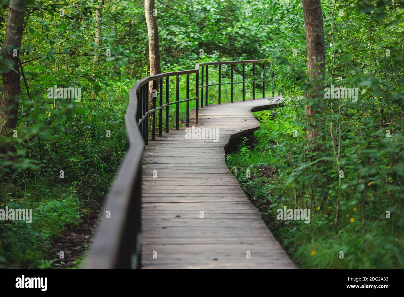 Aerial summer vibrant view of West Kotlin state nature reserve ...