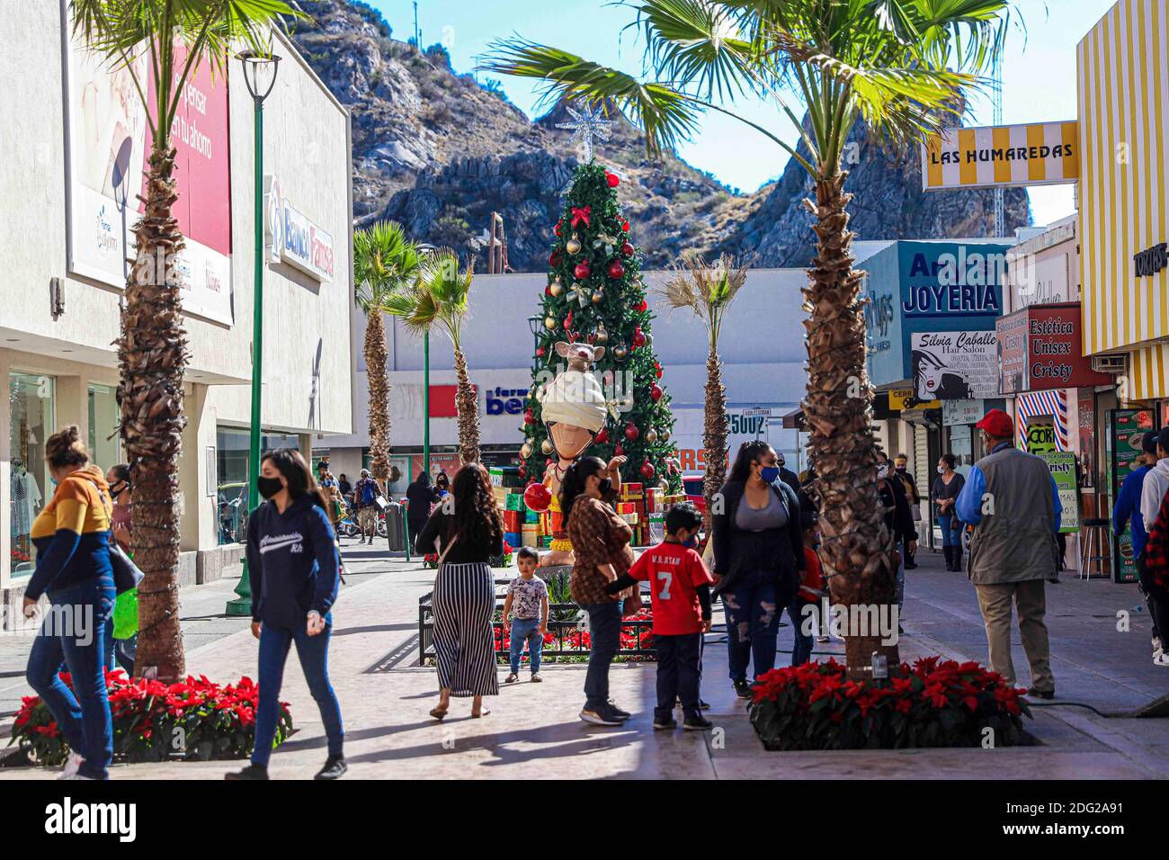 Danza del venado en méxico hi-res stock photography and images - Alamy