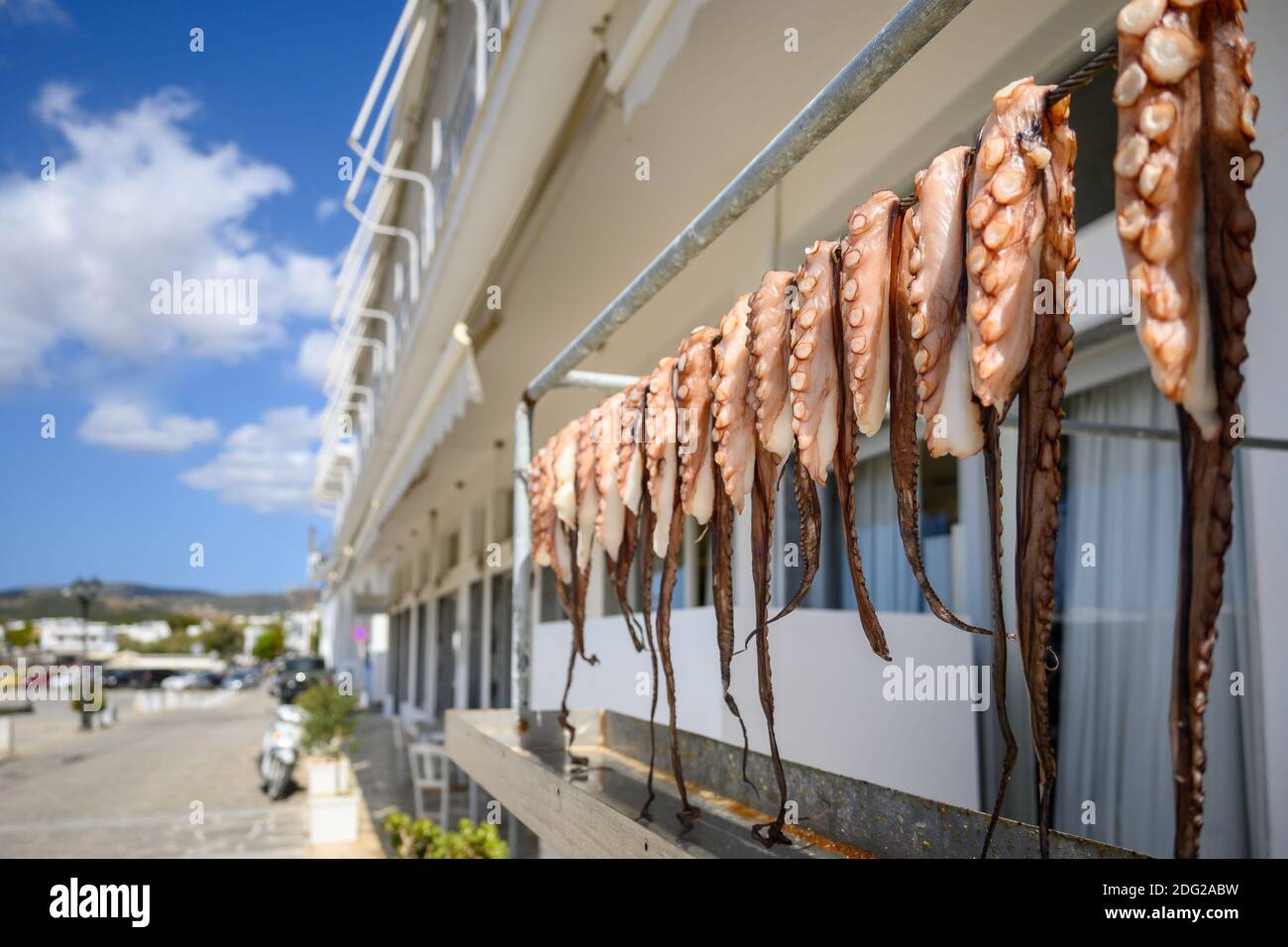 Drying octopus on the street in Aliki village. Paros Island, Cyclades ...