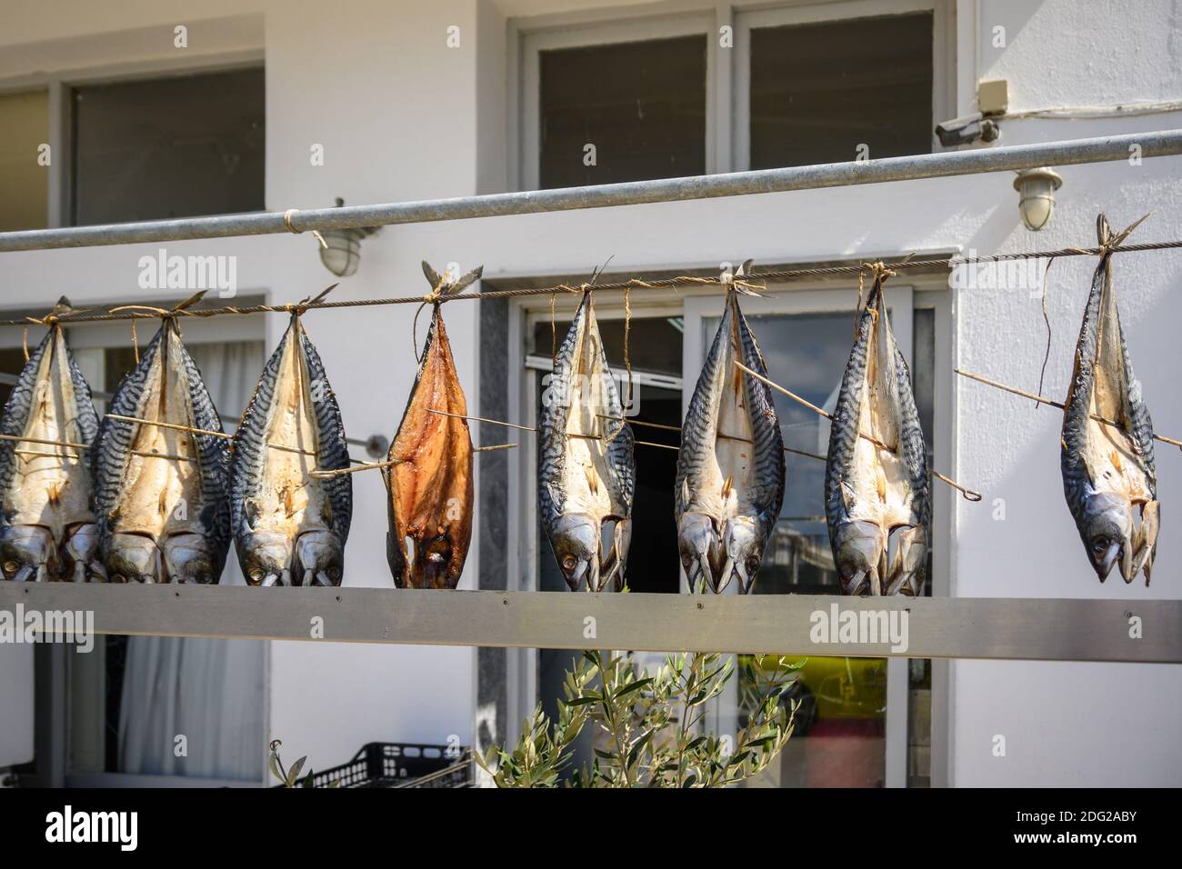 Drying fish on the street in Aliki village. Paros Island, Cyclades ...