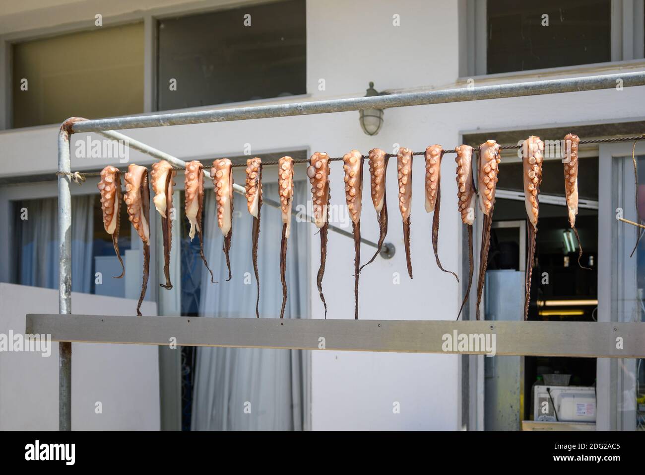 Drying octopus on the street in Aliki village. Paros Island, Cyclades ...
