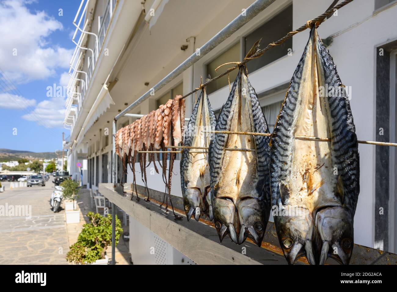 Drying fish and octopus on the street in Aliki village. Paros Island ...