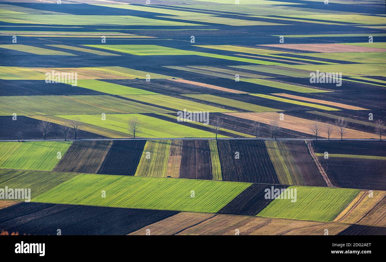 Bird's Eye View of the Agricultural Parcel. Aerial View of the Fields ...