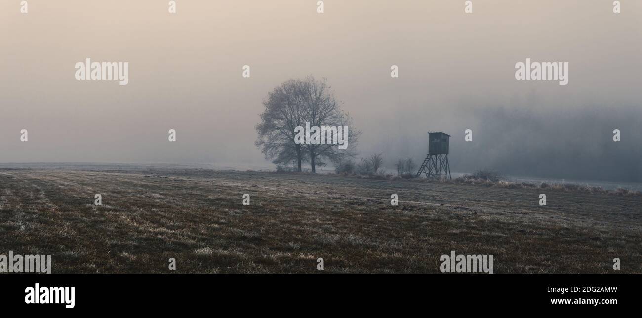 autumn landscape in the fog, field, hunting blind, trees Stock Photo ...
