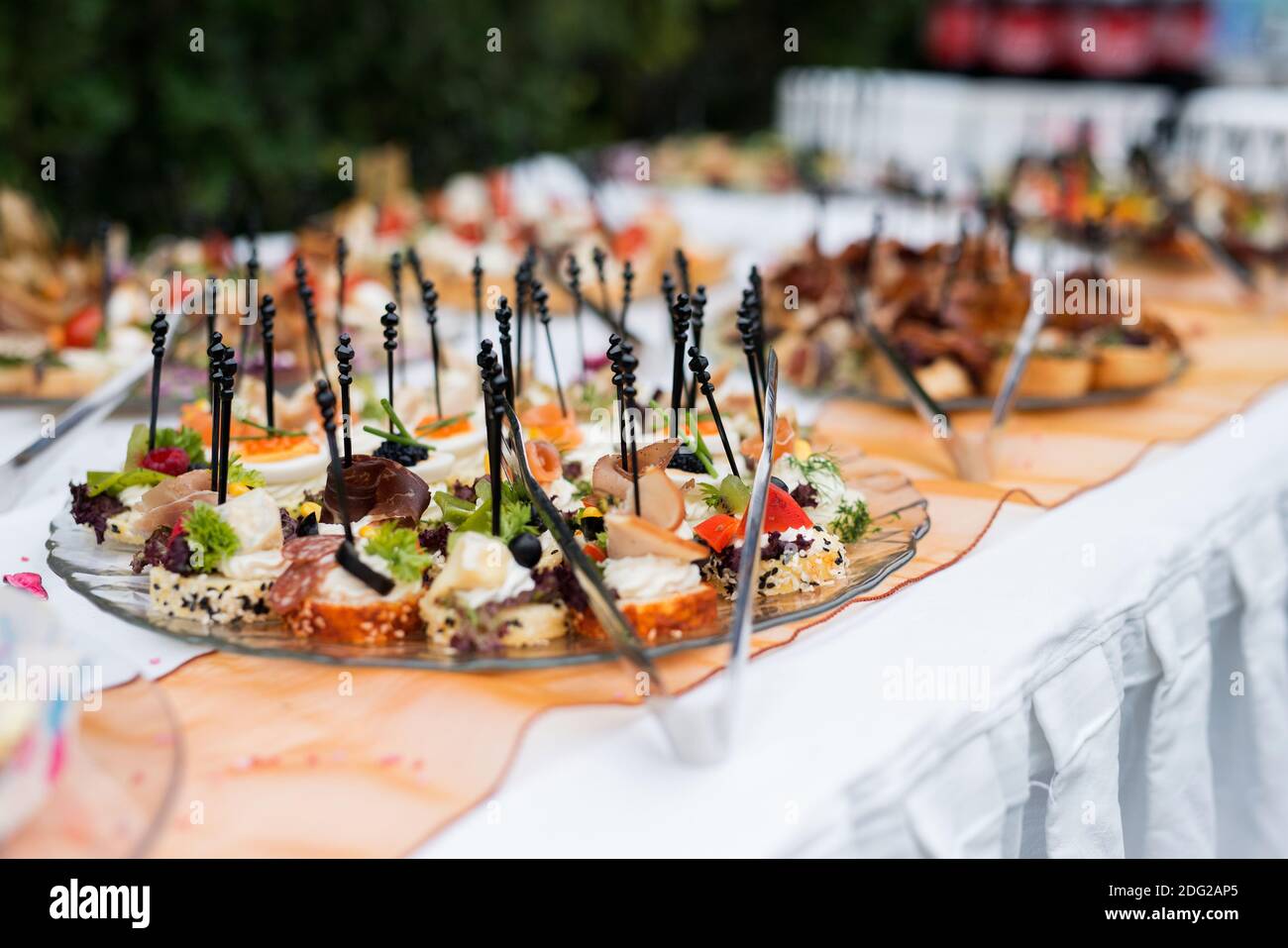 The buffet at the reception. Assortment of canapes on a table. Banquet ...