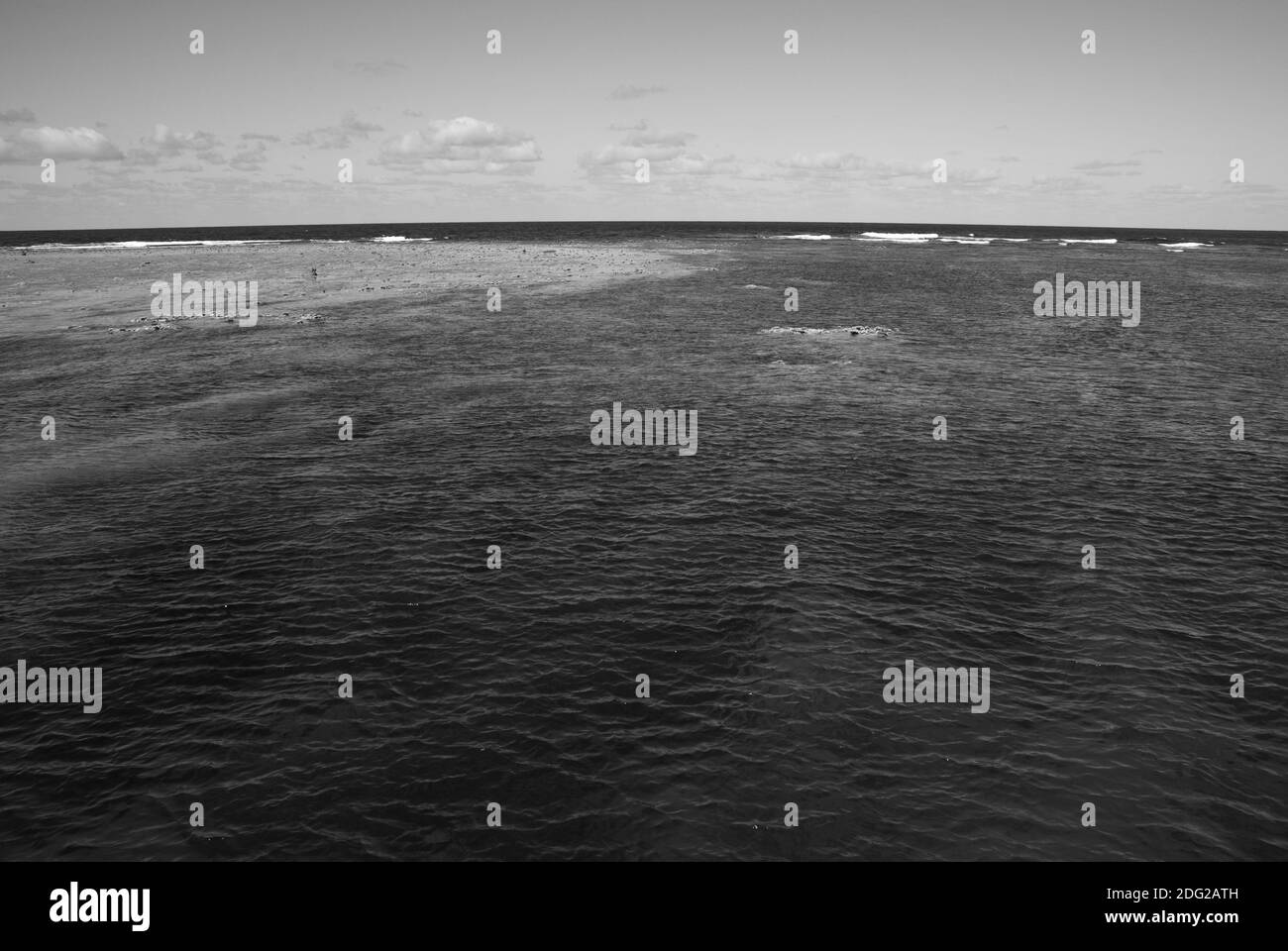 Great barrier reef fish hi-res stock photography and images - Alamy