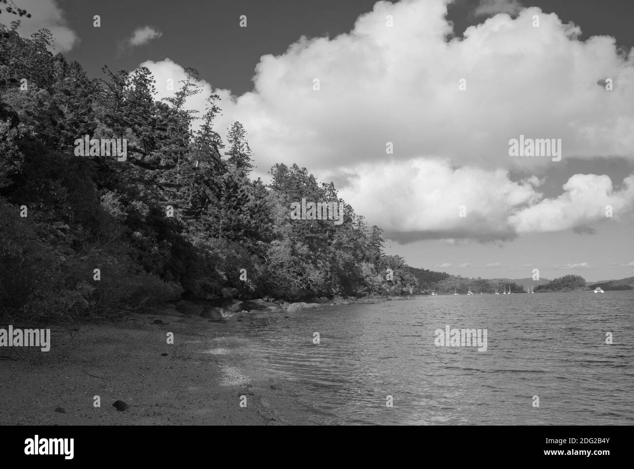 Great barrier reef coast queensland Black and White Stock Photos ...