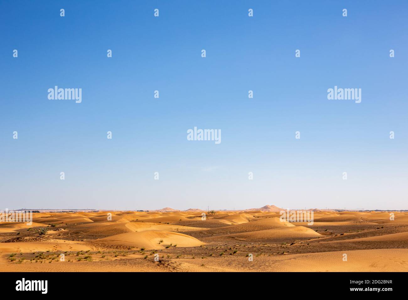Simple desert landscape with golden sand dunes, low horizon, crystal ...