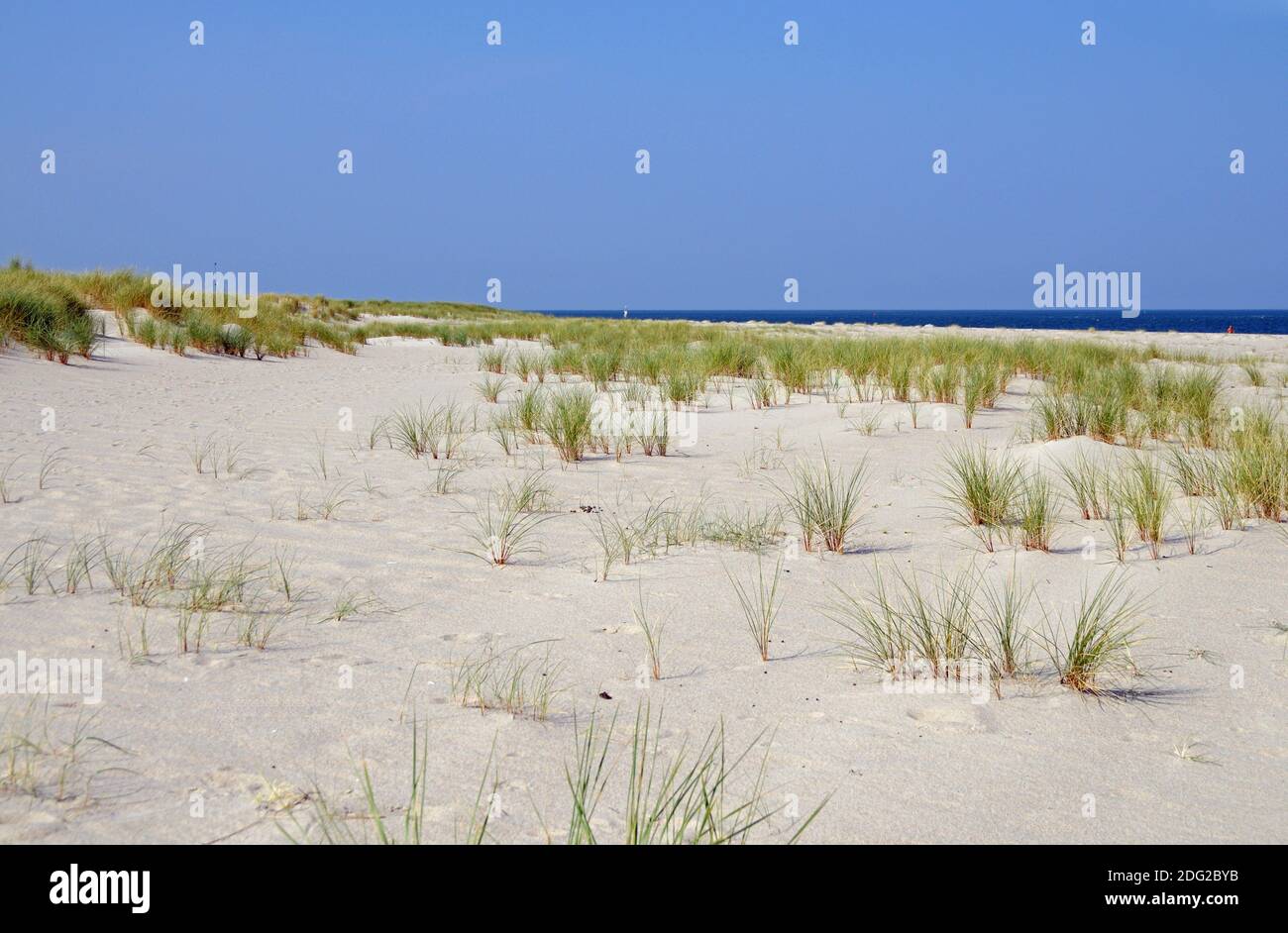 Beach and grass hi-res stock photography and images - Alamy