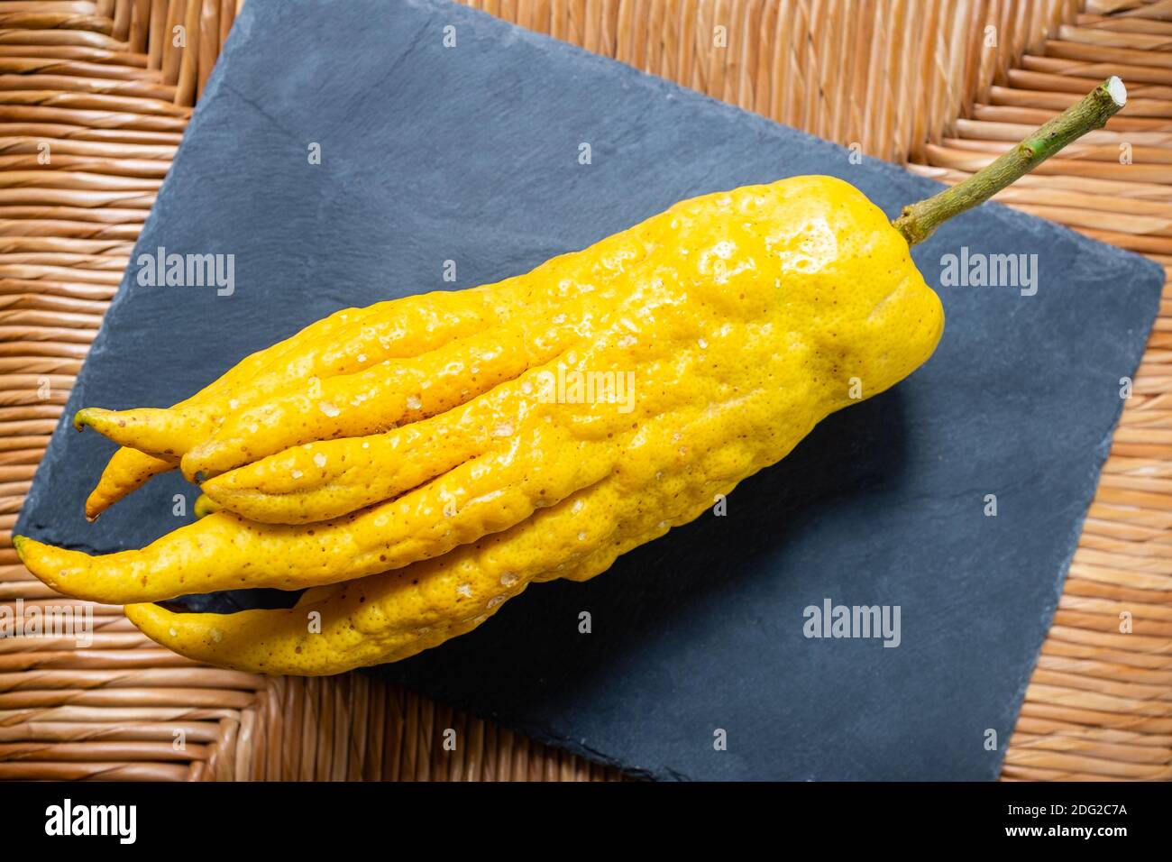 Unusually shaped citron called fingered citron or Buddha's hand Stock ...