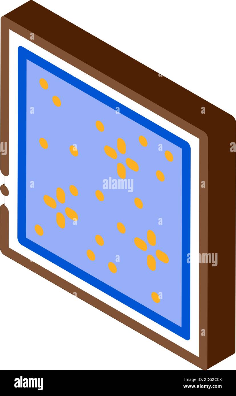 star sky stretch ceiling isometric icon vector illustration Stock ...