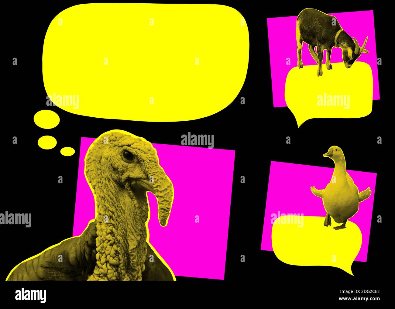 Yellow speech bubble text farm hi-res stock photography and images - Alamy