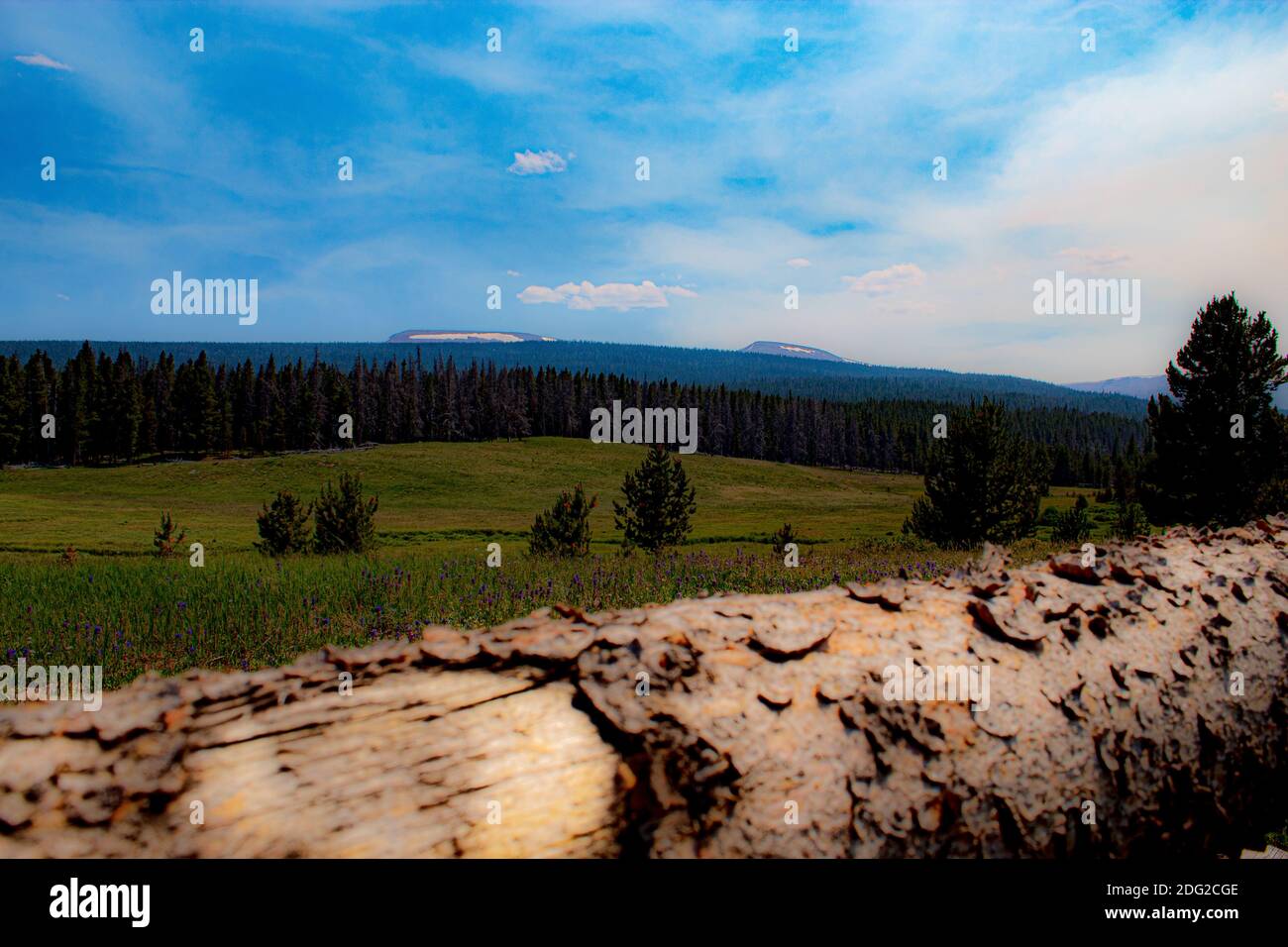 Spring in the High Uintas, Utah Stock Photo - Alamy