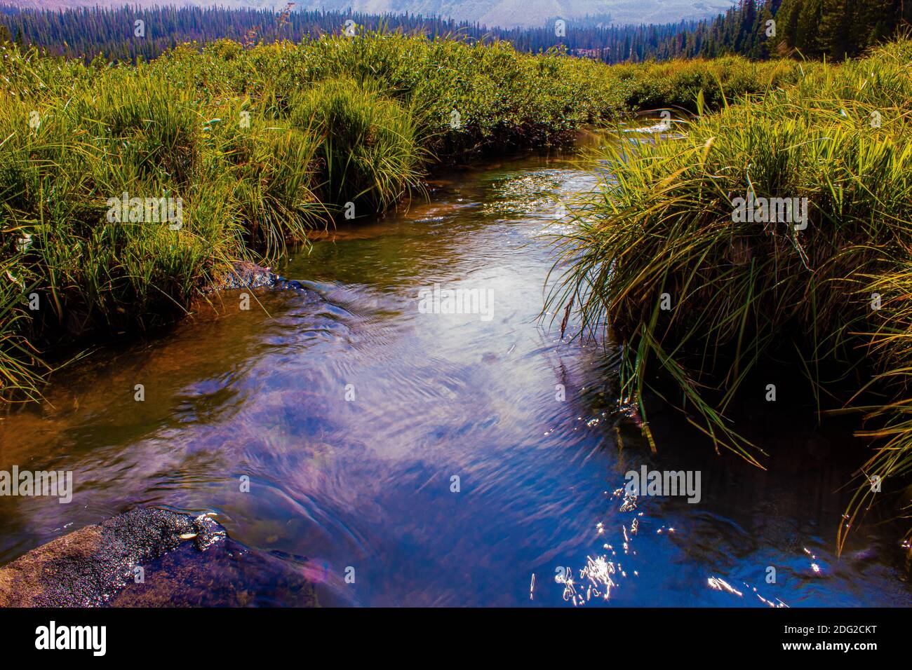Uintas hi-res stock photography and images - Alamy