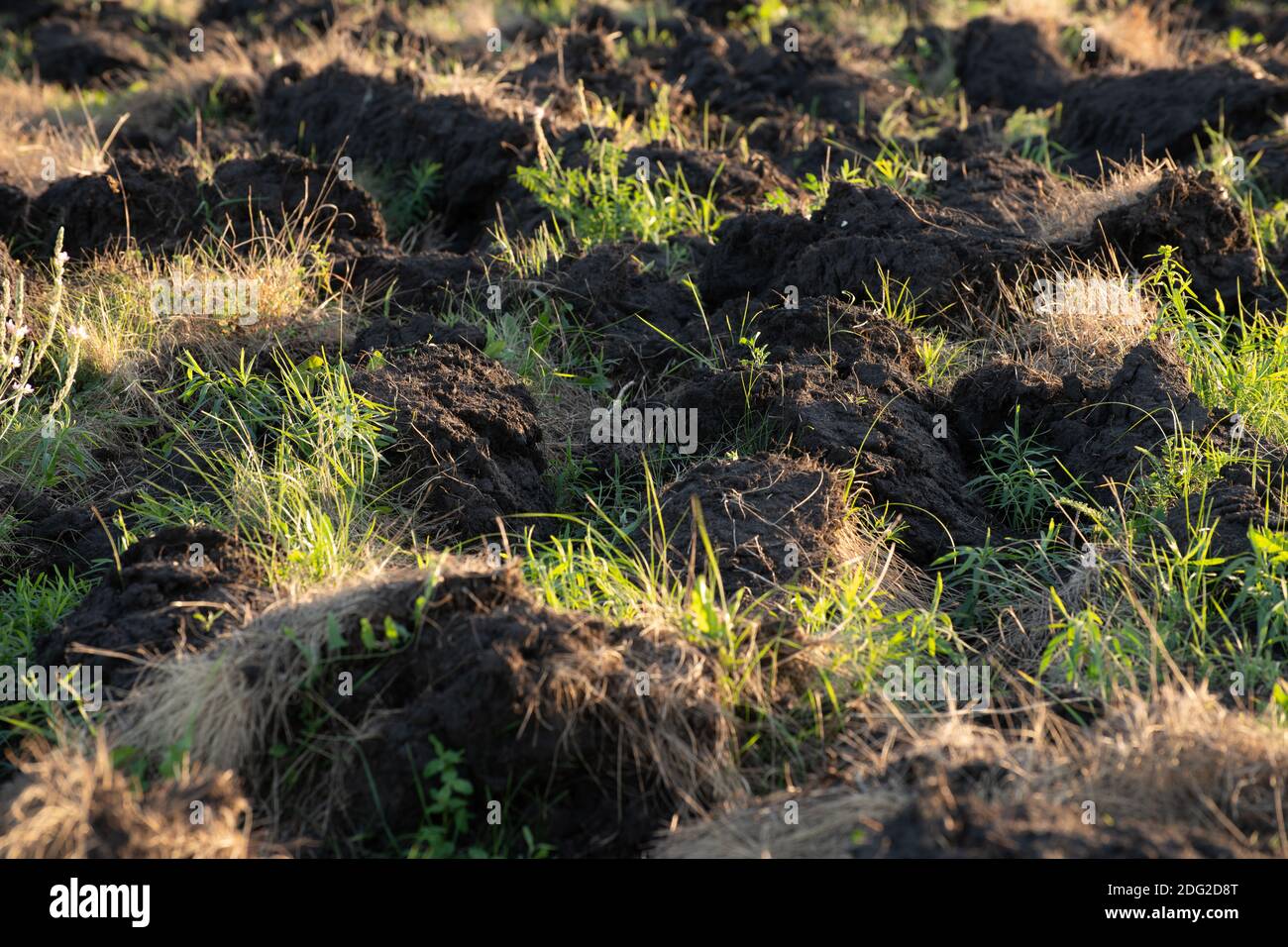 Lump of land hi-res stock photography and images - Alamy