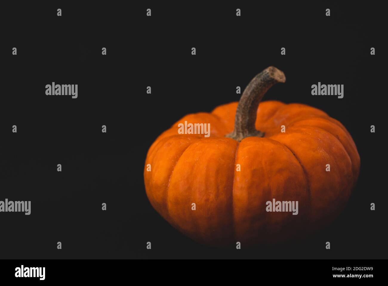 Exotic pumpkin macro close up, selective focus Stock Photo - Alamy