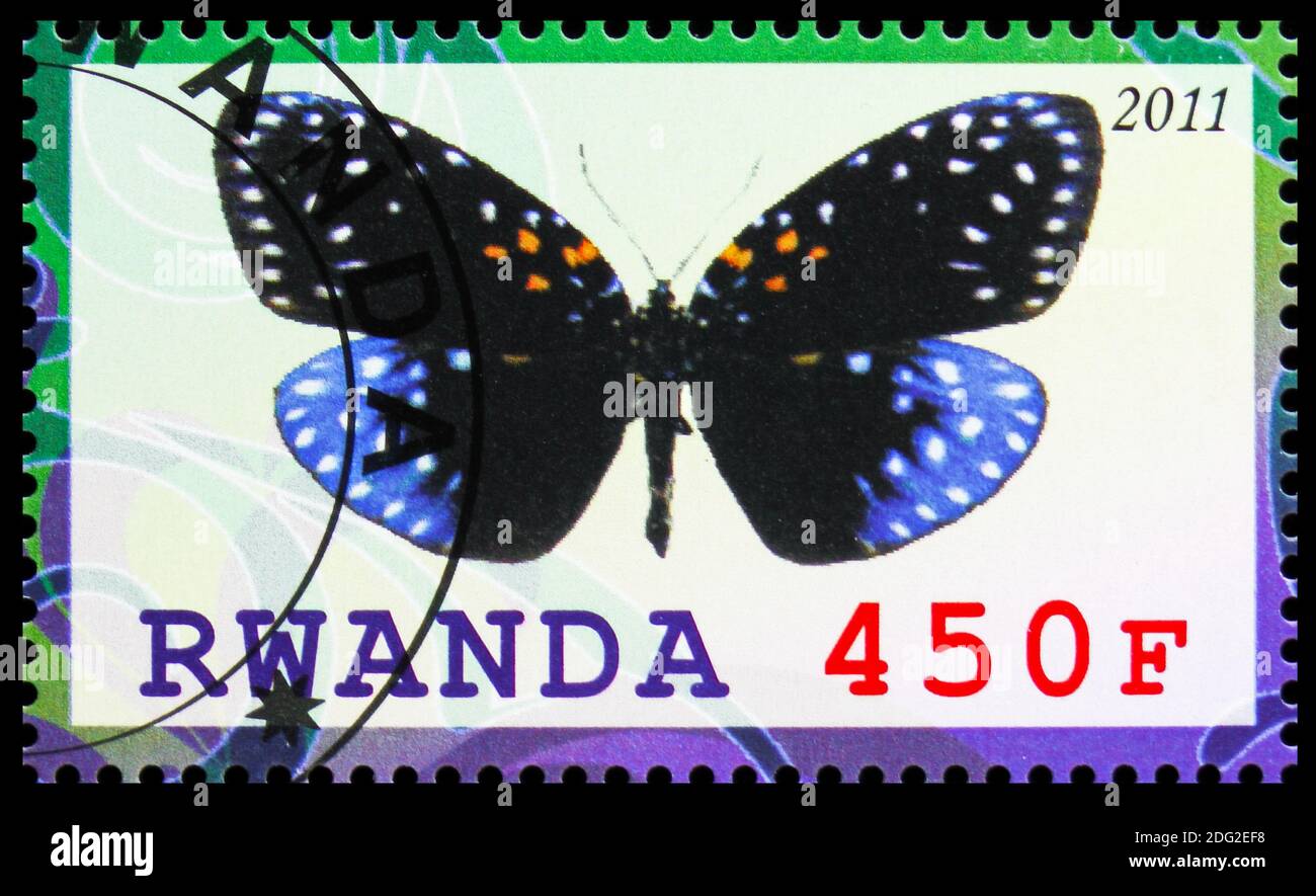 Erasmia sanguiflua hi-res stock photography and images - Alamy