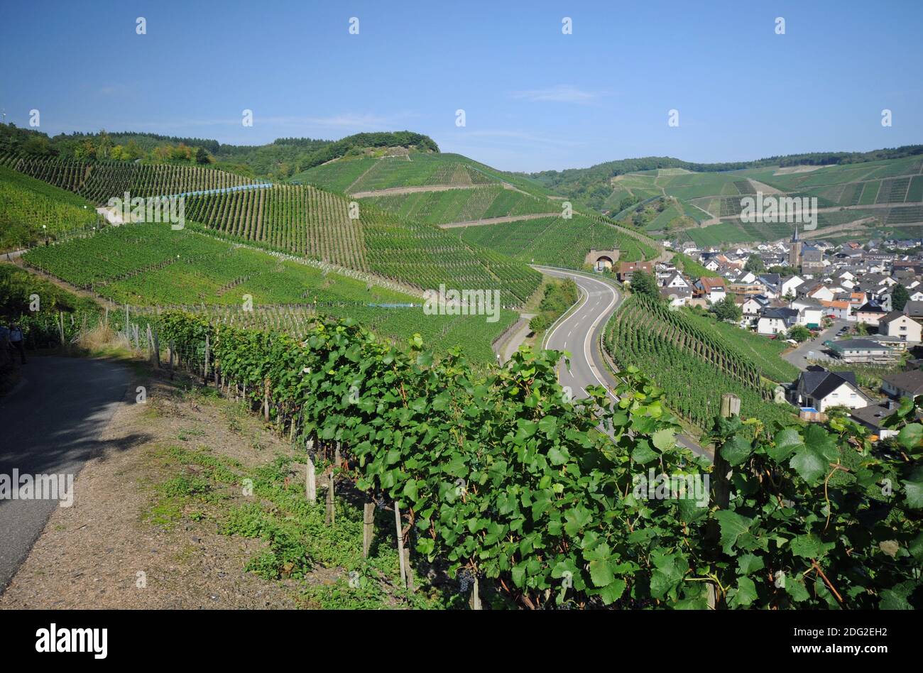 Ahr valley Dernau Stock Photo - Alamy