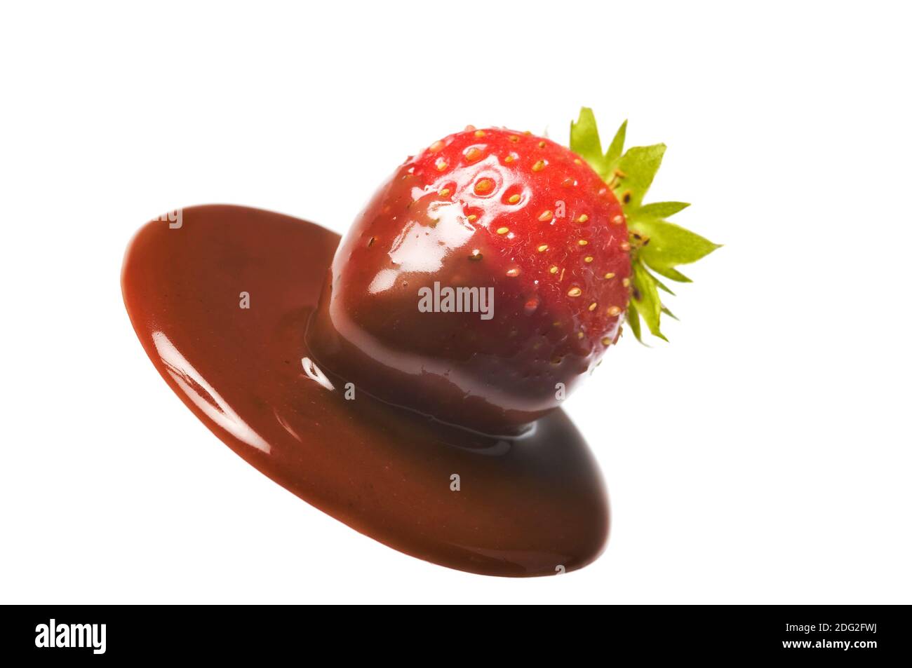 Fresh strawberry fruit in chocolate on white. A chocolate dipped ripe ...
