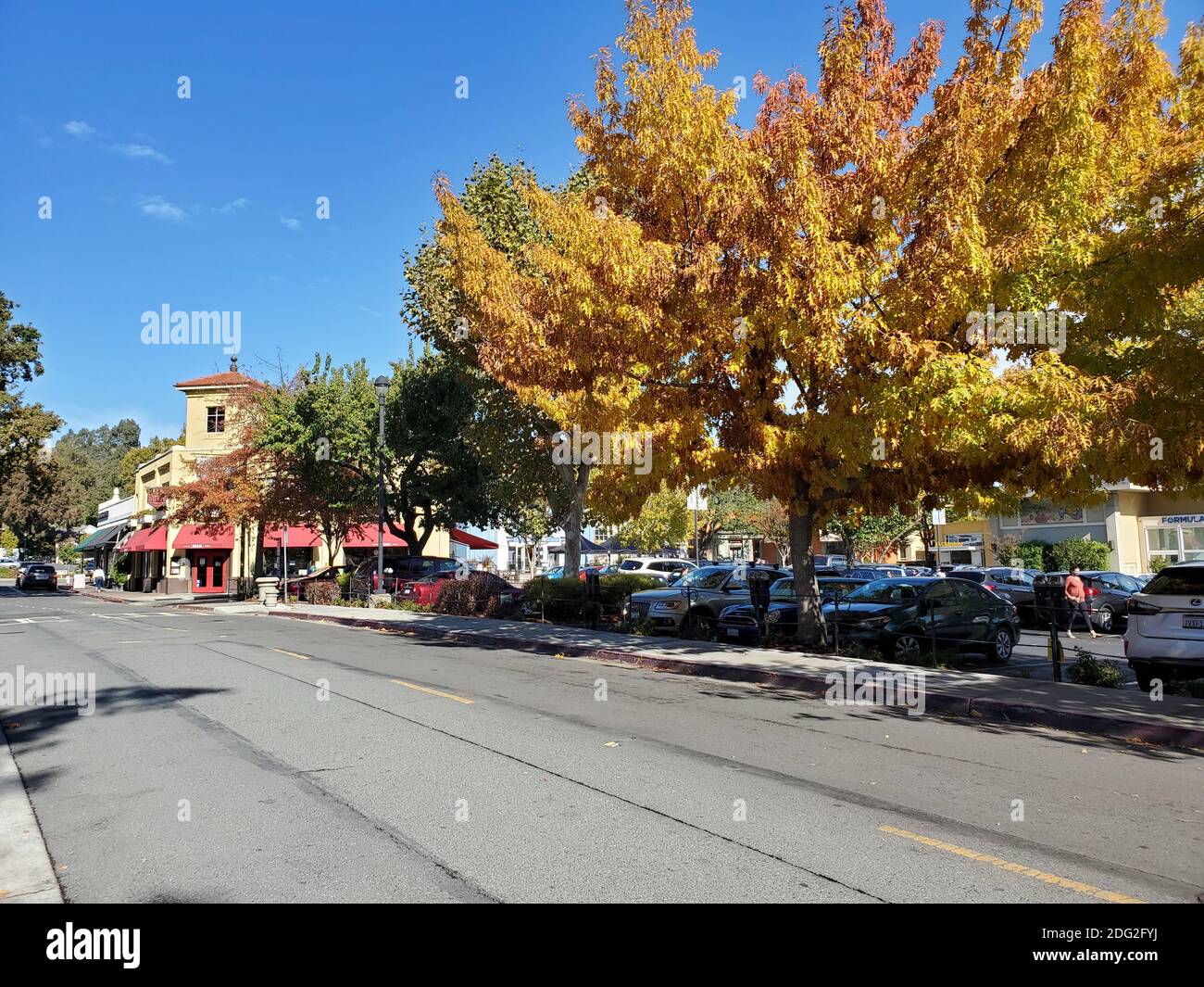 Photograph of autumn trees and parked cars on Lafayette Cir in ...