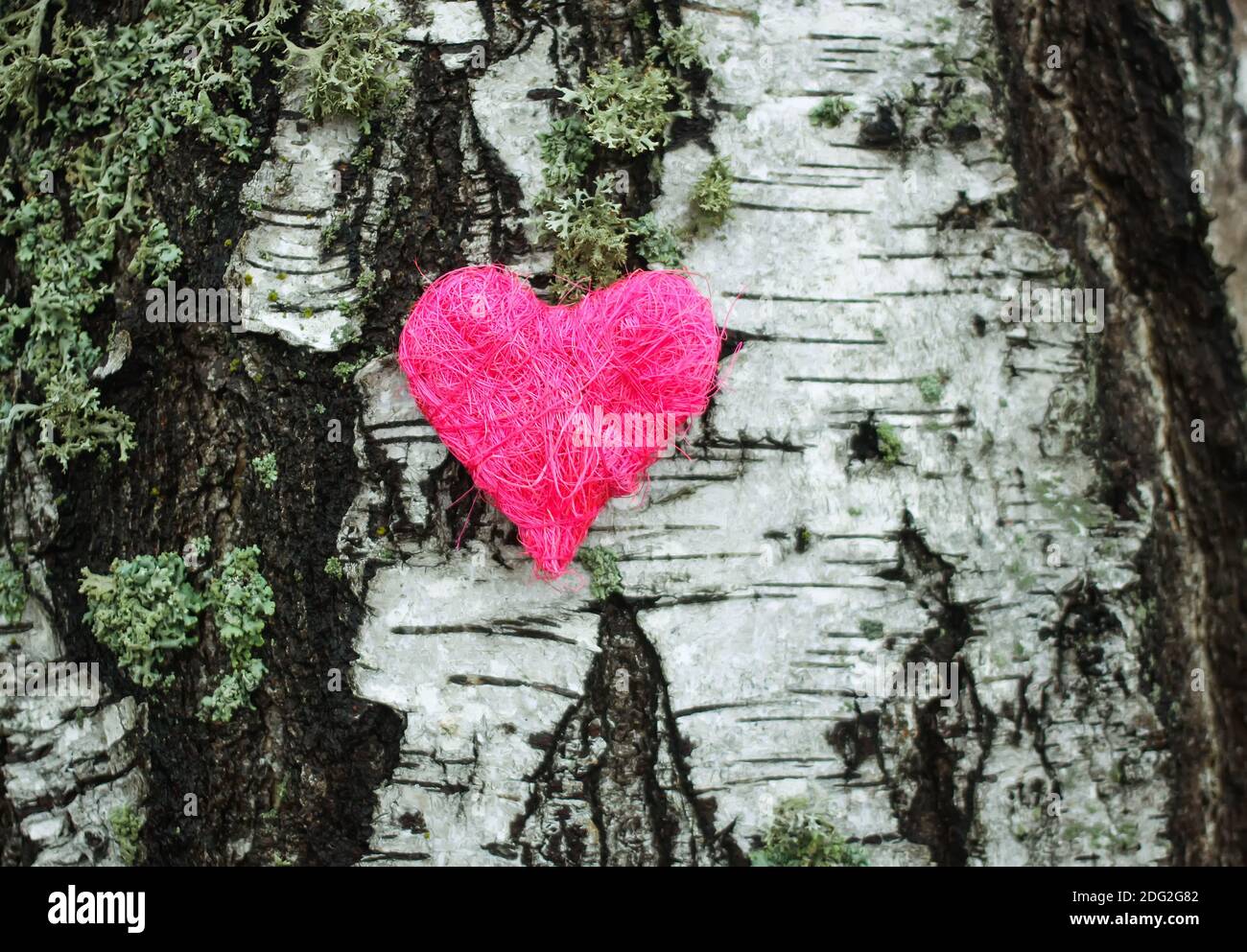 Decorative heart on birch tree bark Stock Photo - Alamy