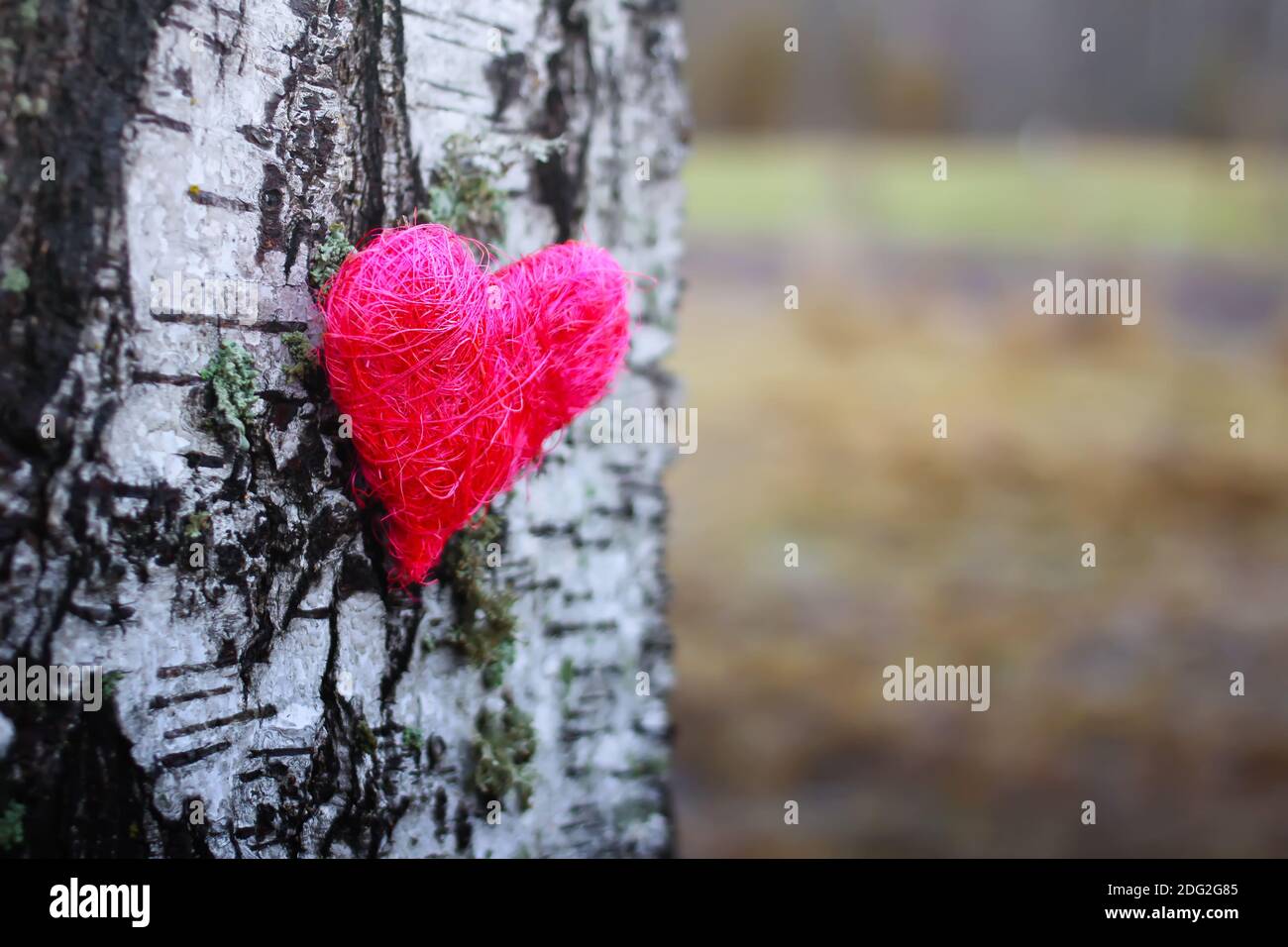 Paper heart hanging on forest hi-res stock photography and images - Alamy
