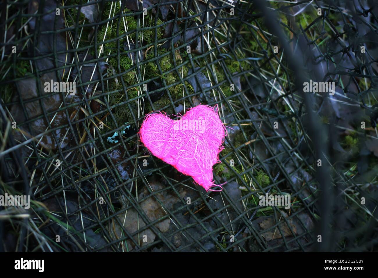 Colorful decorative heart on old rustic iron sieve background Stock ...