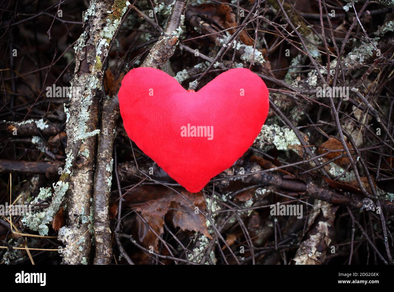 Red plush heart on tree branches background Stock Photo - Alamy