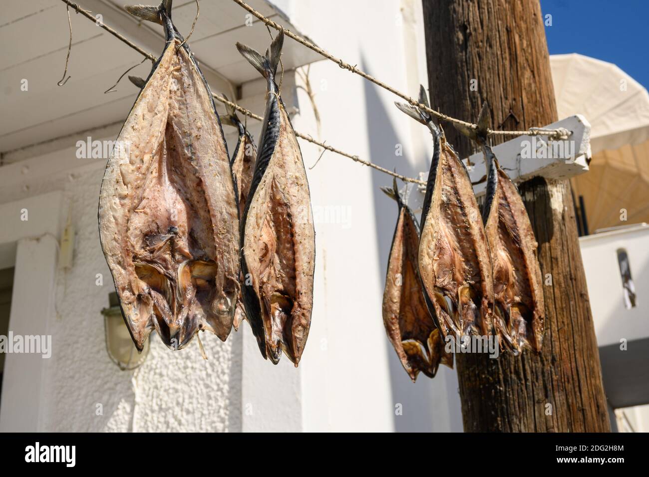 Drying fish on the street in Aliki village. Paros Island, Cyclades ...