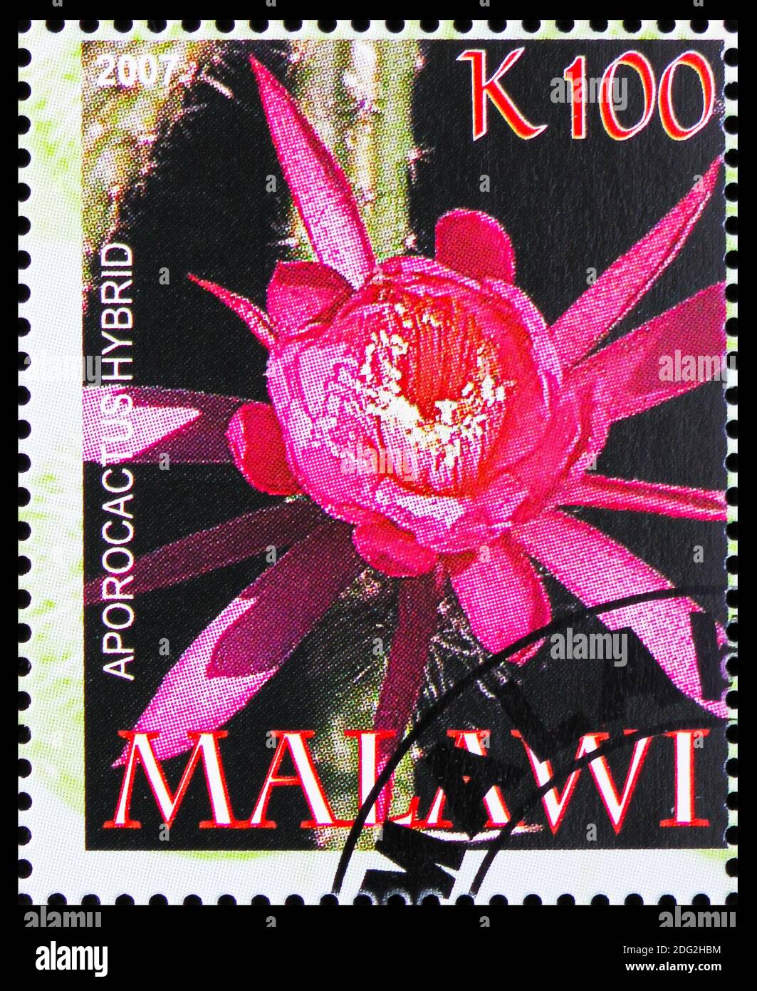 MOSCOW, RUSSIA - OCTOBER 21, 2018: A stamp printed in Malawi shows ...