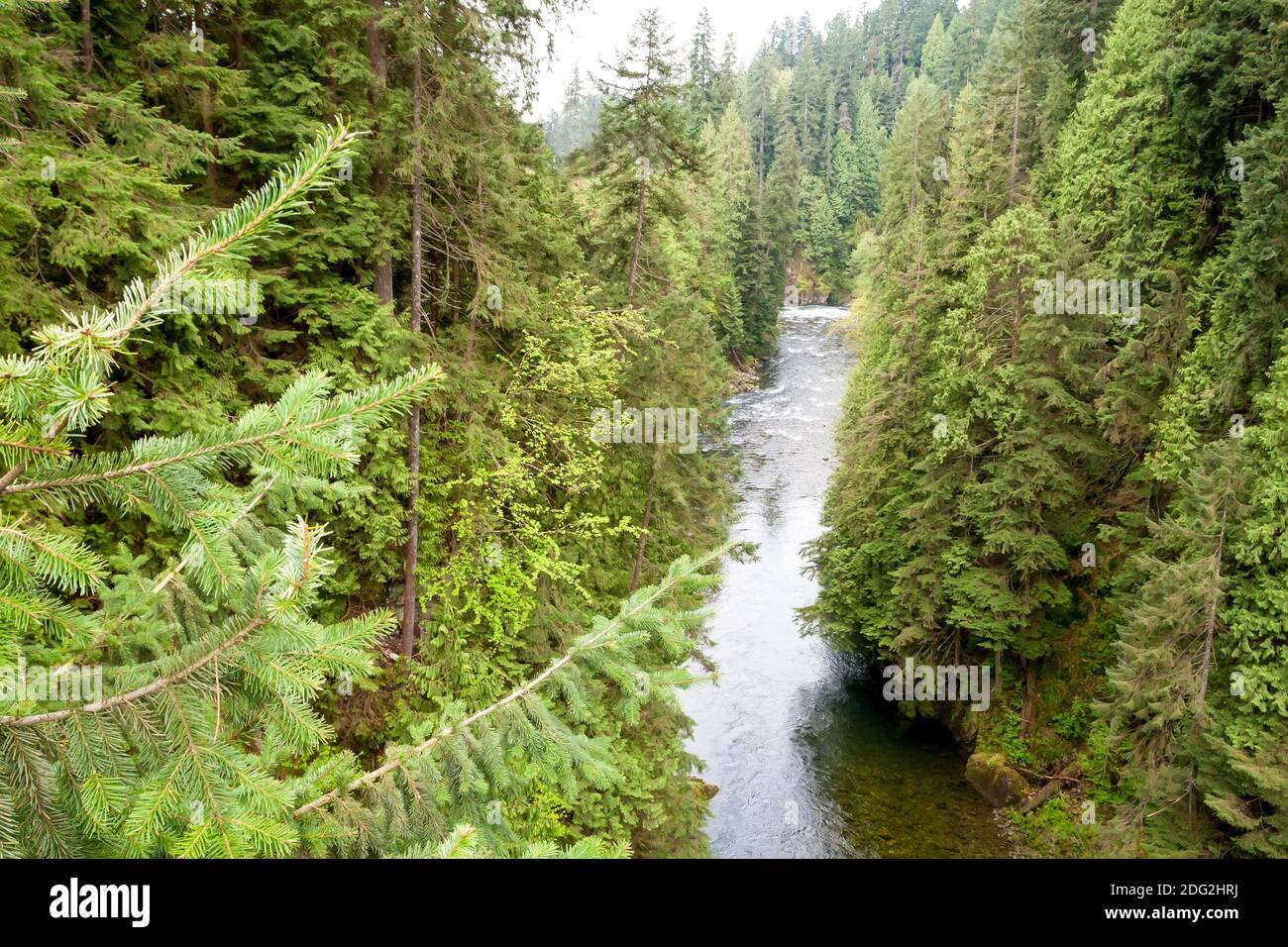 British columbia forest river hi-res stock photography and images - Alamy